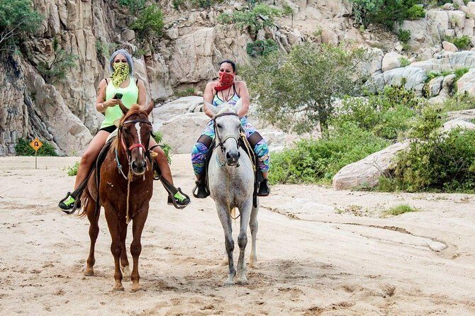 Horseback Riding on The Beach and Through The Desert! - The Itinerary: What to Expect During Your Horseback Ride