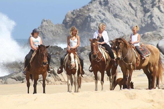 Horseback Riding on The Beach and Through The Desert! - Authentic Insights from Reviewers