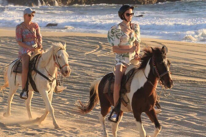 Horseback Riding on The Beach and Through The Desert! - Is This Tour Worth It?  