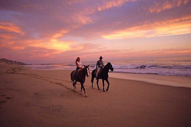 Horseback Riding on The Beach and Through The Desert! - FAQs