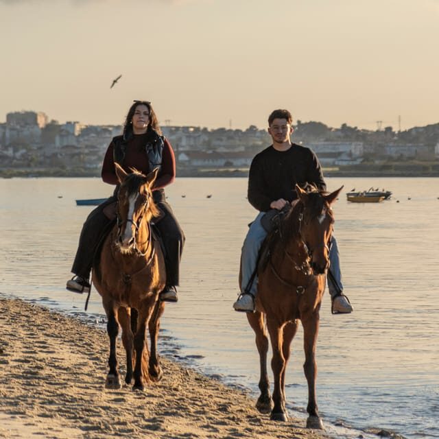 Horseback Riding On The Beach At Sunset - What to Expect from the Horseback Riding Tour