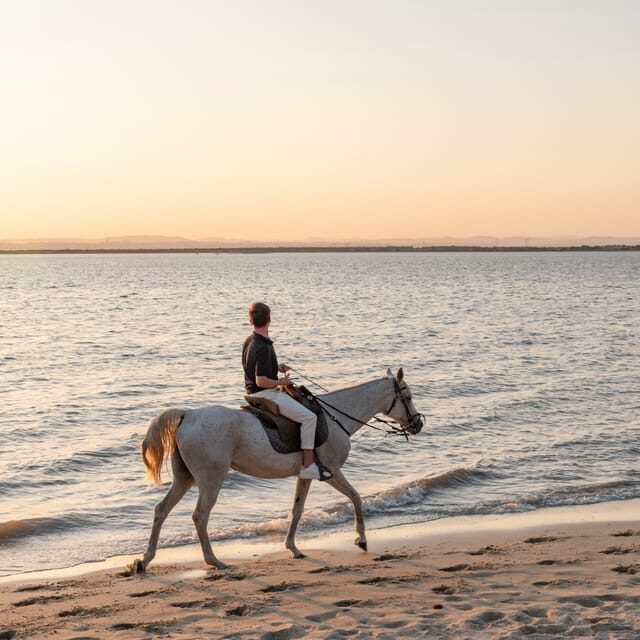 Horseback Riding On The Beach At Sunset - Who Will Love This Tour?