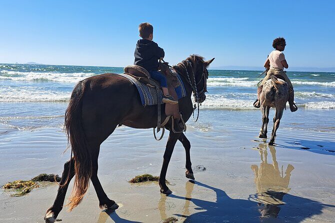 Horseback Riding on the Beach from Ensenada - What to Expect from the Experience