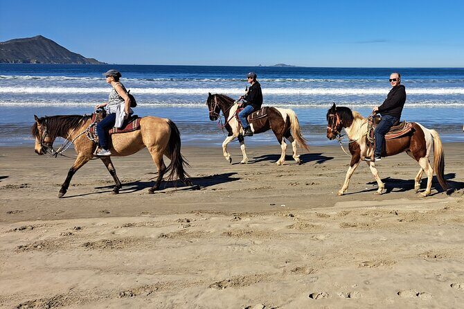 Horseback Riding on the Beach from Ensenada - Final Thoughts: Who Should Consider This Tour?
