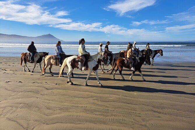 Horseback Riding on the Beach from Ensenada - FAQs