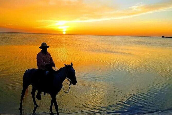 Horseback Riding on the Beaches of Holbox - Key Points