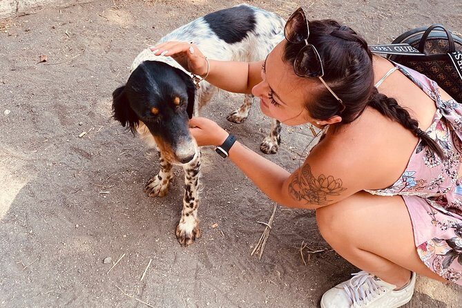 Horseback Riding on Vesuvius - Authentic Insights from Reviewers  