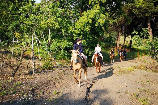 Horseback Riding on Vesuvius - Practical Tips for Making the Most of Your Ride  