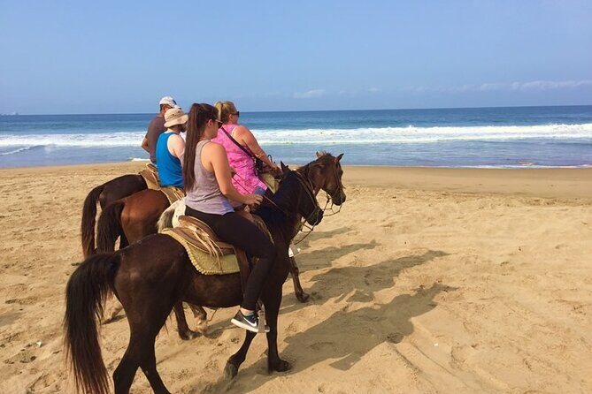Horseback Riding Playa Larga - Key Points