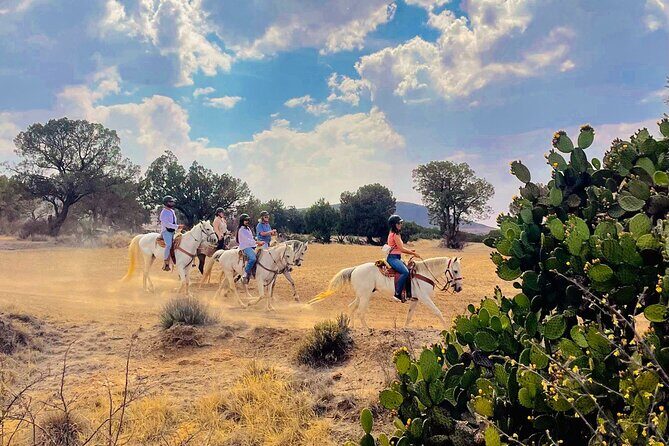 Horseback Riding through Mexican Haciendas - The Sum Up