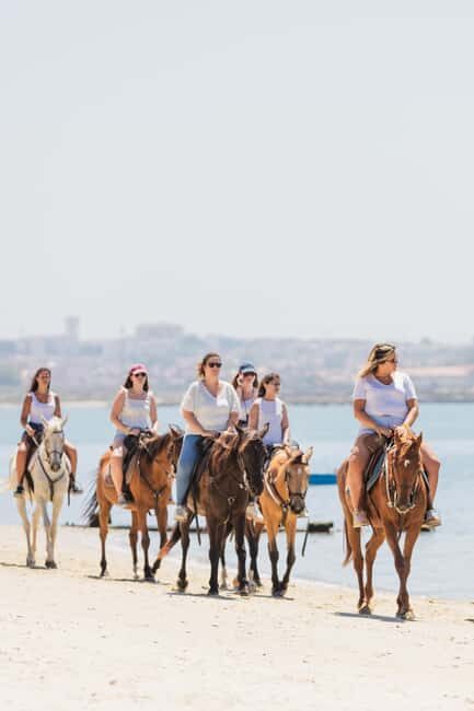 Horseback Riding Through The Beach GROUP - PDT - An In-Depth Look at the Horseback Beach Tour