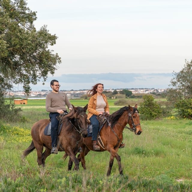 Horseback Riding Through The Beach GROUP - PDT - The Sum Up: Is It Worth It?