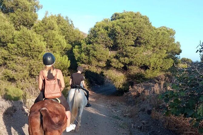 Horseback riding through the Calblanque Natural Park - What to Expect from the Tour