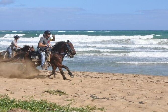 Horseback Riding to Maimon River from Punta Cana - An In-Depth Look at the Horseback Riding Tour