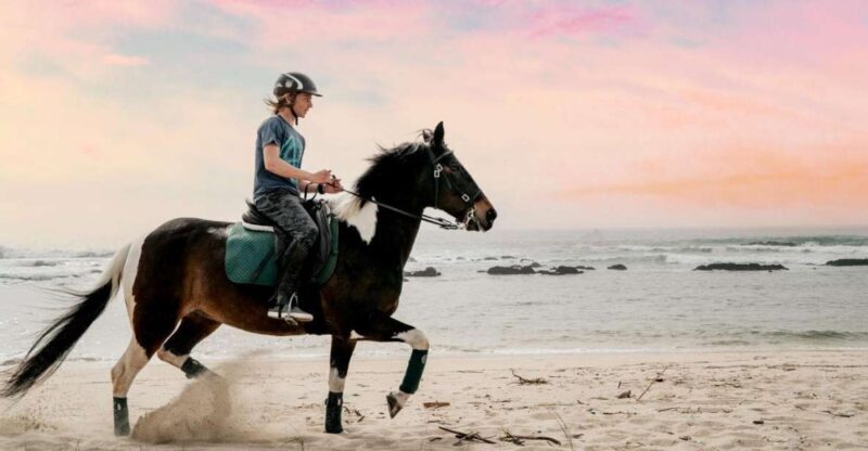 Horseback Riding Tour - Key Points
