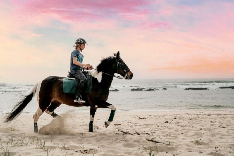 Horseback Riding Tour - Who Should Consider This Tour?