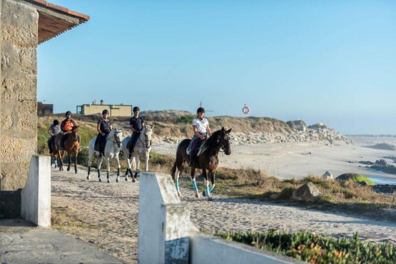 Horseback Riding Tour - Frequently Asked Questions