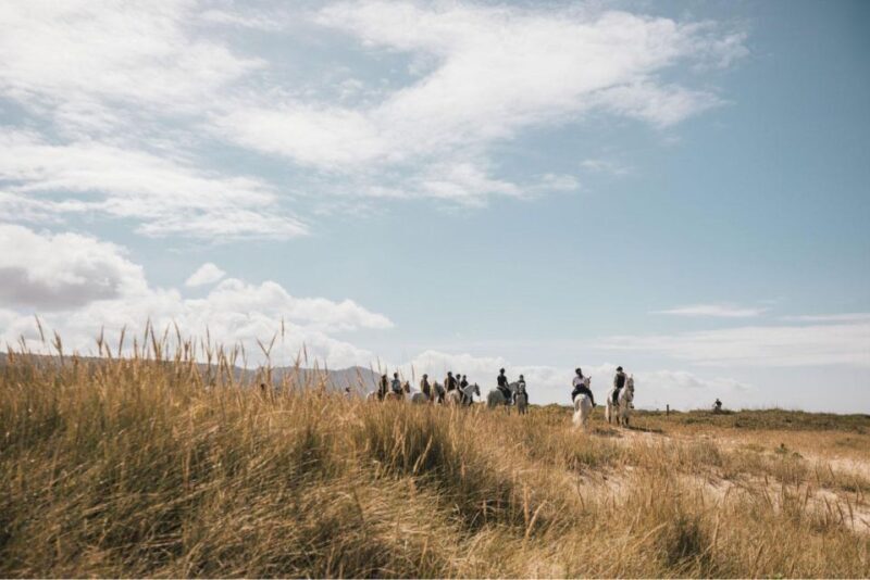 Horseback Riding Tour - Final Thoughts