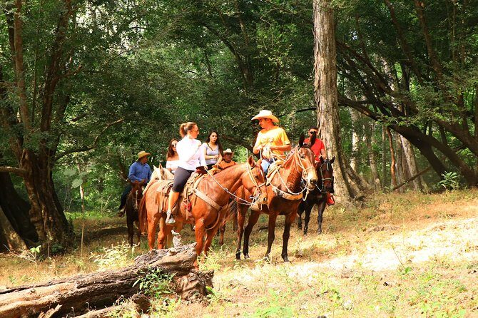 Horseback Riding Tour - Is This Tour Worth It?