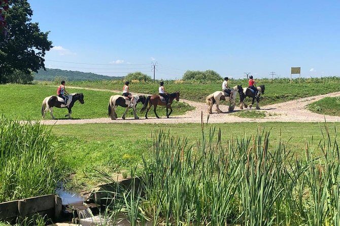Horseback Riding Tour In Brasov - Ride Through Fields, Forests & Hills - What Youll Ride Through