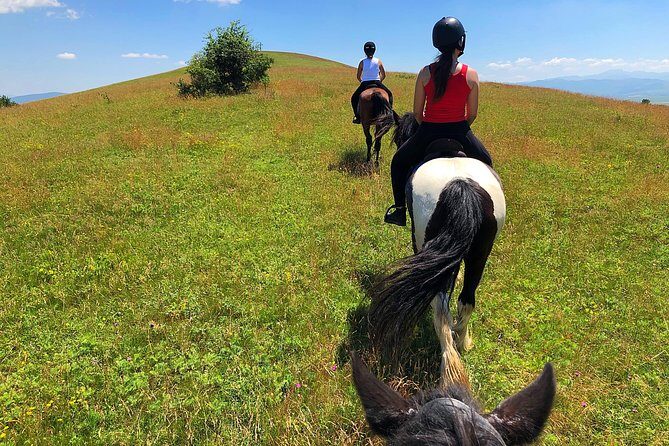 Horseback Riding Tour In Brasov - Ride Through Fields, Forests & Hills - What the Reviews Say