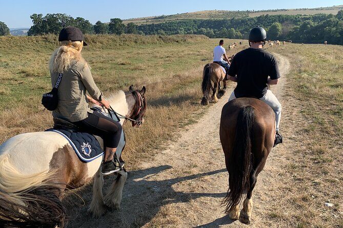 Horseback Riding Tour In Brasov - Ride Through Fields, Forests & Hills - Logistics & Practicalities