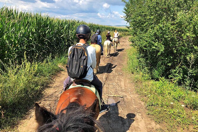 Horseback Riding Tour In Brasov - Ride Through Fields, Forests & Hills - Who Should Consider This Tour?