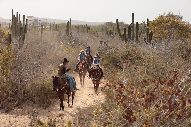 Horseback Riding Tour in Cabo San Lucas - Potential Drawbacks and Considerations