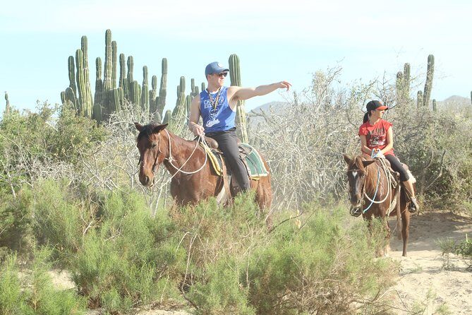 Horseback Riding Tour in Cabo San Lucas - Who Should Consider This Tour?
