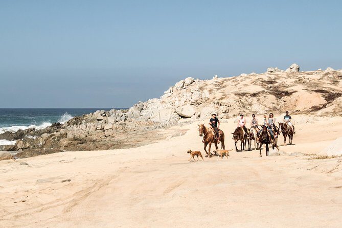 Horseback Riding Tour in Cabo San Lucas - The Sum Up: Who Will Love This Experience?