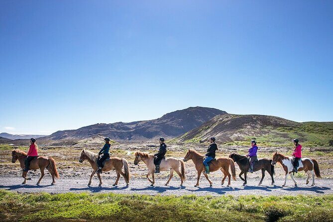 Horseback Riding Tour in Iceland - What to Expect on the Day