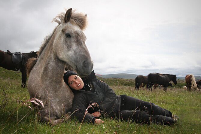 Horseback Riding Tour in Iceland - The Sum Up: Is It Worth It?
