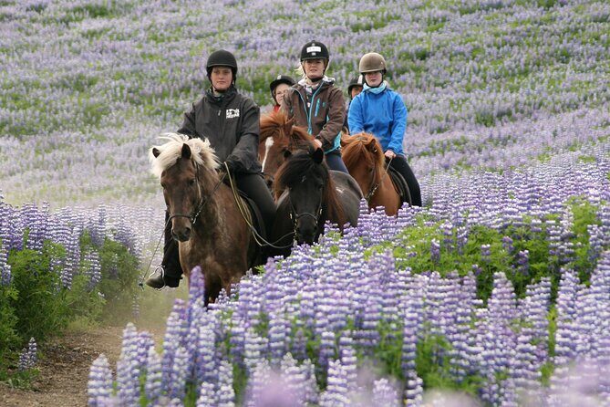 Horseback Riding Tour in Iceland - FAQ