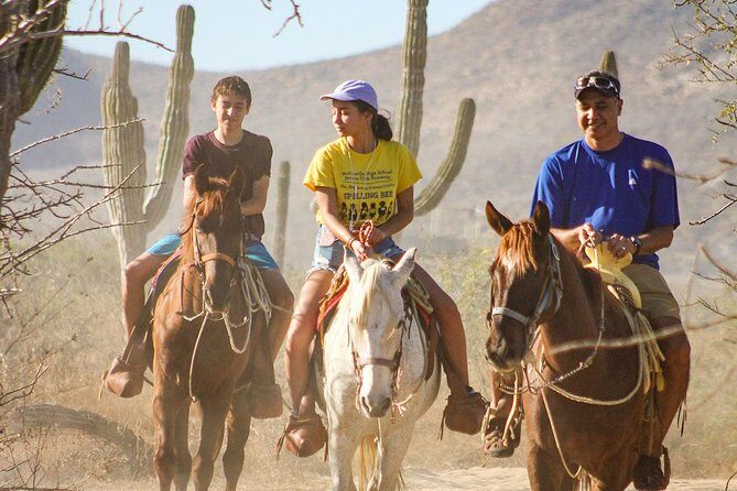 Horseback Riding Tour in Los Cabos - Horseback Riding Tour in Los Cabos: A Deep Dive into Authentic Baja Adventure