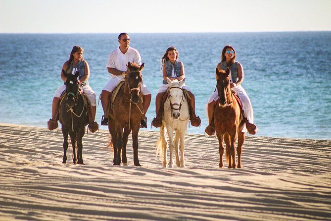 Horseback Riding Tour in Los Cabos - Key Points