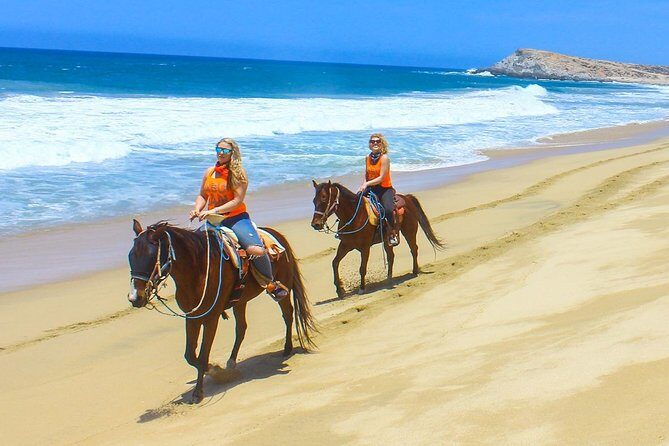 Horseback Riding Tour in Los Cabos - FAQs About the Horseback Riding Tour in Los Cabos
