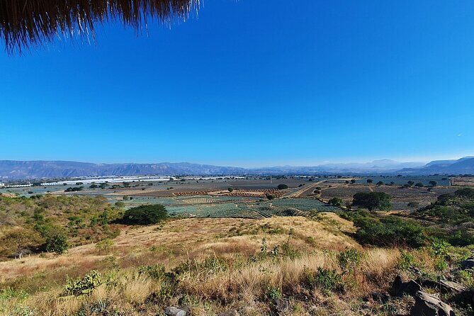 Horseback Riding Tour in The Agave Field with Lunch - A Closer Look at Tequila Production at Cofradía