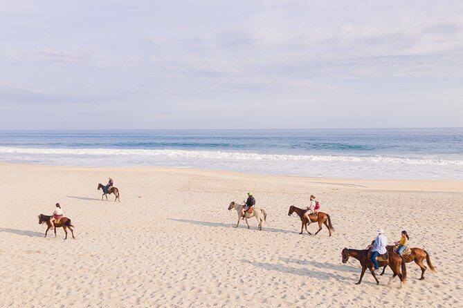 Horseback Riding Tour on the Beach in Puerto Escondido - The Full Experience: What to Expect from Start to Finish