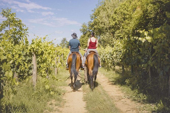 Horseback Riding Tour with Tuscan Picnic in Val d'Orcia and Valdichiana - Key Points