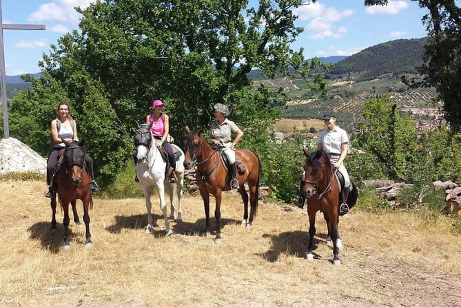 Horseback riding & Wine Tasting and snack Lunch at noble Estate - The Itinerary: What to Expect from Start to Finish