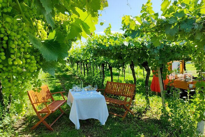 Horseback Riding with Pic Nic in Lazise Countryside - Introduction: Why This Tour Stands Out