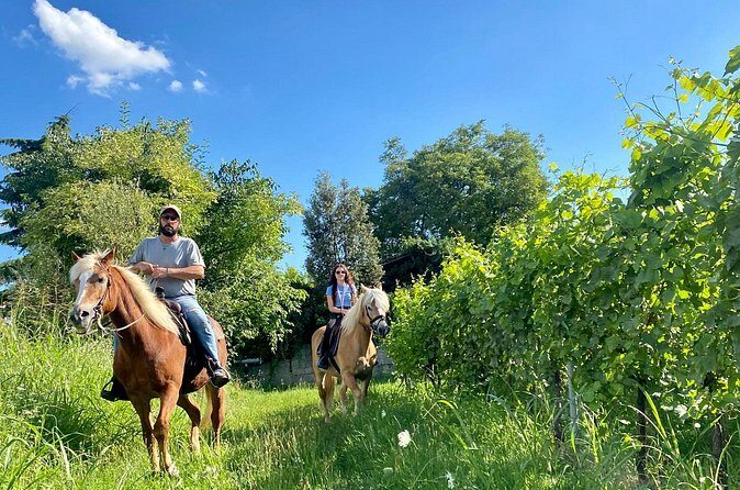 Horseback Riding with Pic Nic in Lazise Countryside - Final Thoughts: Who Will Love This Tour?