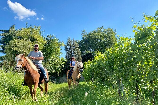 Horseback Riding with Pic Nic in Lazise Countryside - FAQ