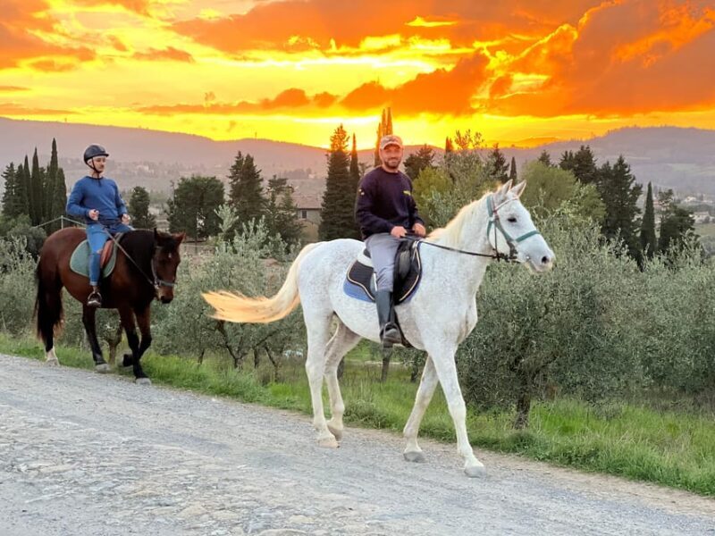 Horseback Riding with Wine Tour from Florence - Authentic Experience & Authenticity