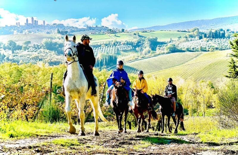 Horseback Riding with Wine Tour from Florence - Who Is This Tour Best For?