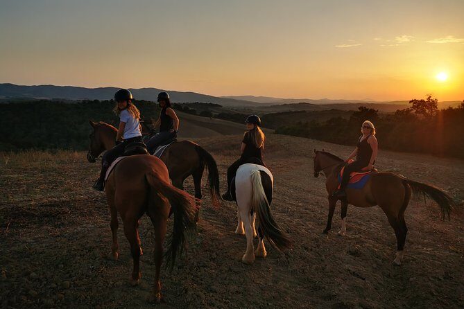 Horsebackriding - explore Tuscan nature - An In-Depth Look at the Tuscany Horseback Tour