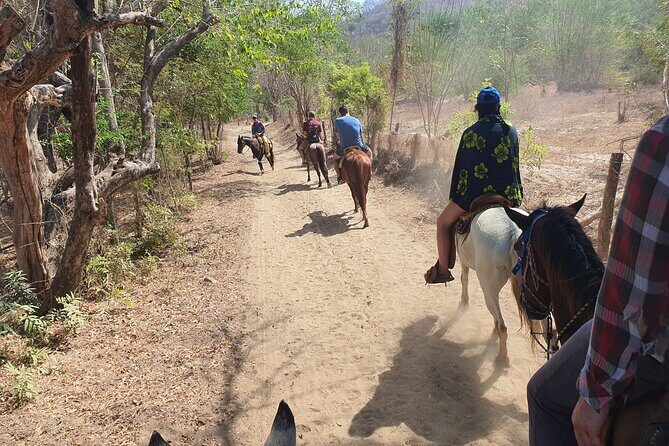 Horses on The Beach or Hot Springs - Who Would Enjoy This Tour?