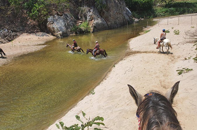 Horses on The Beach or Hot Springs - FAQ