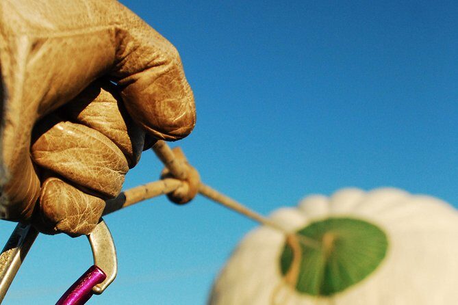 Hot Air Balloon Flight Over Segovia or Toledo - What Travelers Love About This Experience