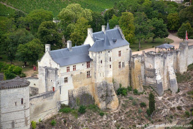 Hot Air Balloon Flight over the castle of Chenonceau / France - Pricing and Value